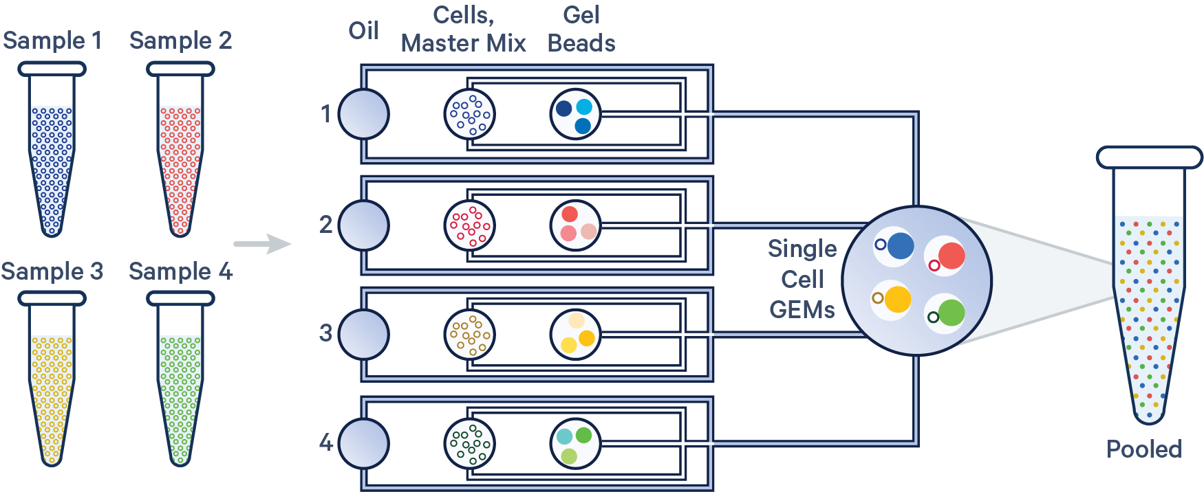 What is Sample Multiplexing? | 10x Genomics